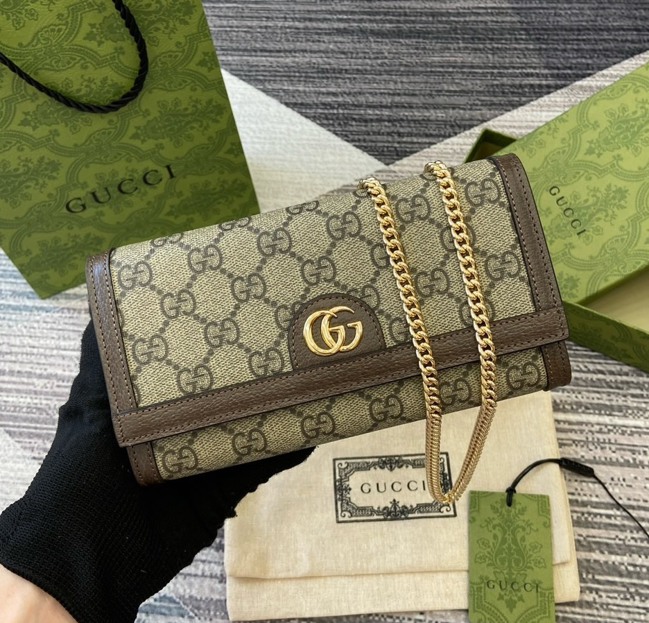 Gucci Ophidia chain wallet GU772309-brown – LuxTime DFO Handbags